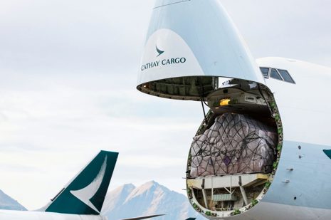 IATA - Success Story: How Cathay Cargo Ensures Accurate, Error-Free ...