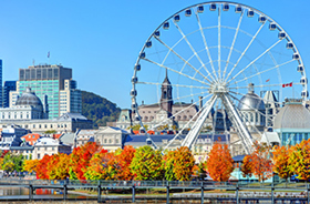 IATA - IATA Training Center - Montreal